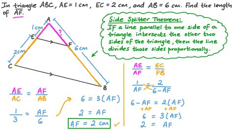 question video finding the lengths of proportional line segments between parallel lines nagwa