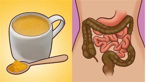 Bebida caseira para limpar o intestino de forma natural Incrível Receitas