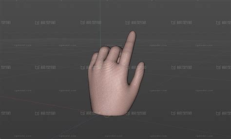手部模型 带骨骼绑定 姿态控制模型 人体器官模型库 cinema 4d c4d 模型下载 cg模型网