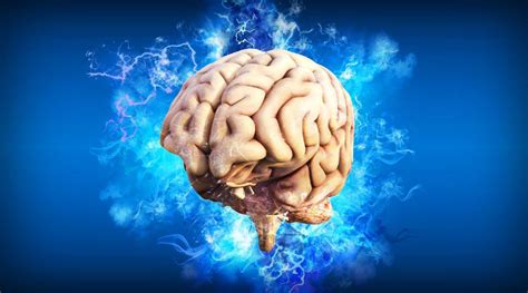 Cerveau Lexique santé