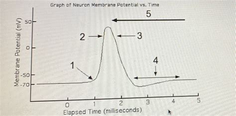 Bio Diagram Diagram Quizlet