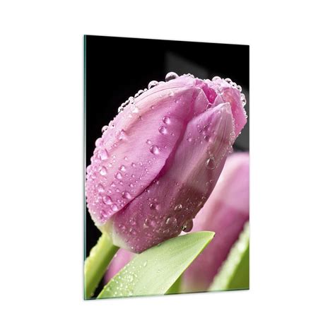 Obraz Na Szkle Liliowy Sen W Rosie 50x70cm Kwiaty Tulipany Bukiet