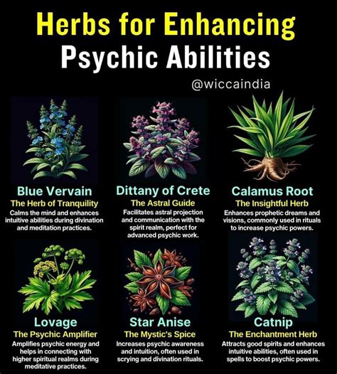 Best 12 How To Decalcify The Pineal Gland 6 Simple Tips Artofit