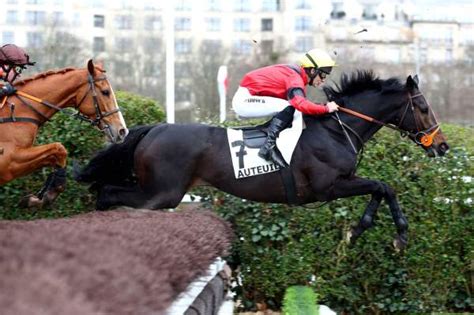 HERCULE DU BERLAIS La Fiche CANALTURF Du Cheval Performances Pmu