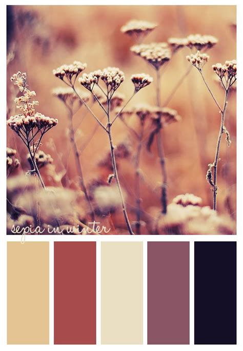 Sepia In Winter Sepia Color Color Palette Color Schemes