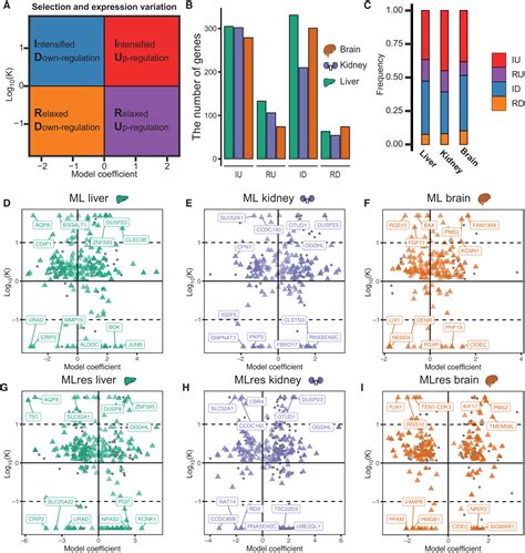 Largescale Across Species Transcriptomic Analysis Identifies Genetic