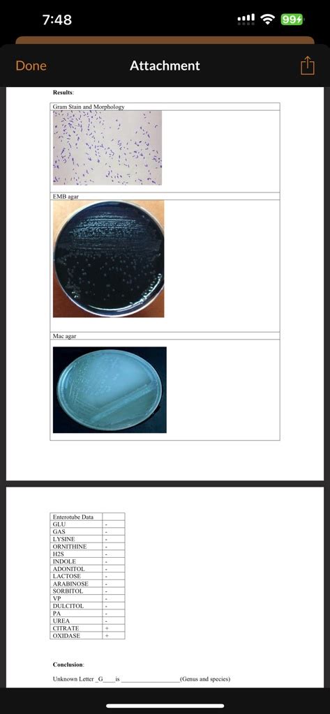 SOLVED Options Include Staphylococcus Aureus Staphylococcus