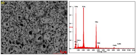 Materials Free Full Text SEM EDS And XPS Analysis Of The Coatings