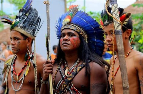 7 tribos indígenas no Brasil que você precisa conhecer Arte Plumaria