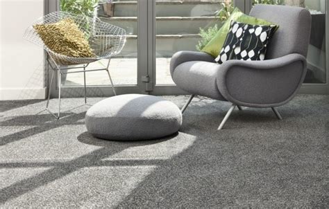 Light Grey Carpet Living Room Ideas Baci Living Room