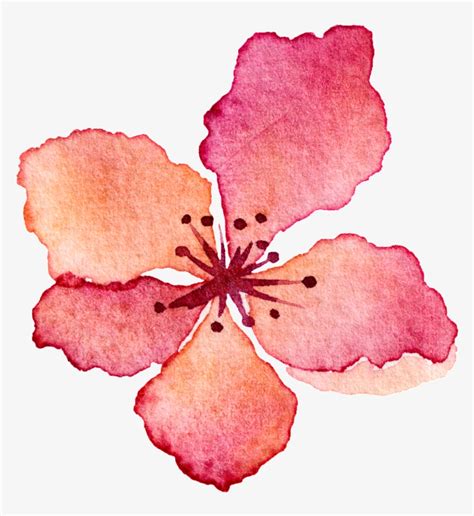 Recopilación imagen 200 acuarela flores png Abzlocal mx