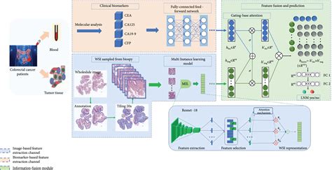 preoperative prediction of lymph node metastasis in colorectal cancer with deep learning bme