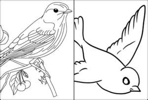 Desenhos De Passarinhos Para Colorir Pop Lembrancinhas