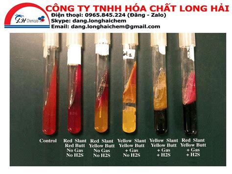 Triple Sugar Iron TSI Agar Principle Results And 50 OFF