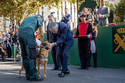 La Guardia Civil Luce Sus Mejores Galas En El Desfile En Honor A Su Patrona