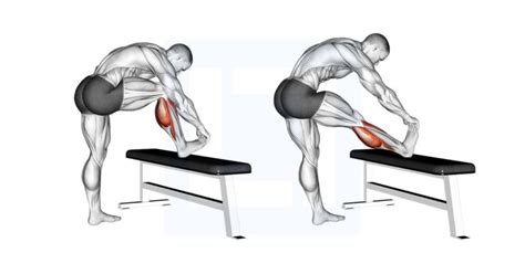 Barbell Floor Calf Raise Guide Benefits And Form