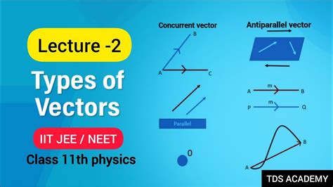 types of vectors class xi physics jee neet youtube