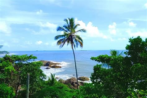 O que fazer em Ilhéus dicas de praias e passeios memoráveis