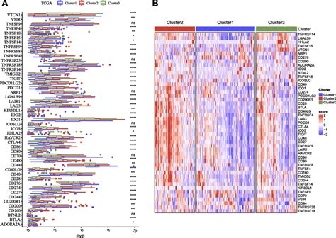 The Expression Of Immune Checkpoint Genes In Three Clusters In TCGA