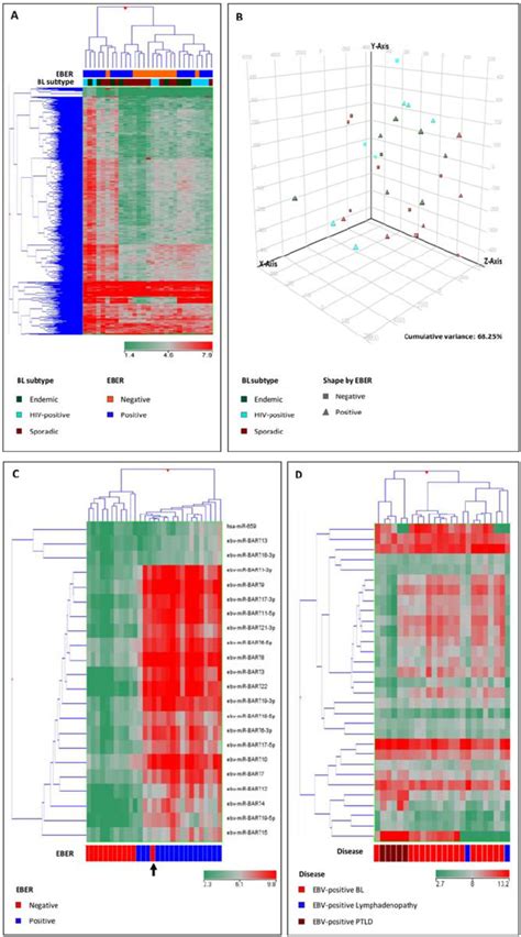 unsupervised analyses unsupervised hierarchical clustering a download scientific diagram