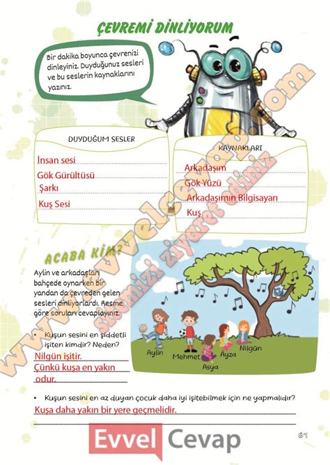 3 Sınıf Fen Bilimleri Çalışma Kitabı Cevapları Sayfa 91