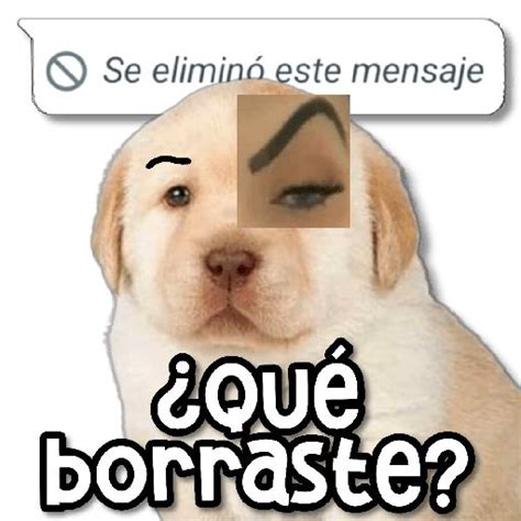 Memes Random Imagenes Chistosas Para Reir Frases Chistosas Para