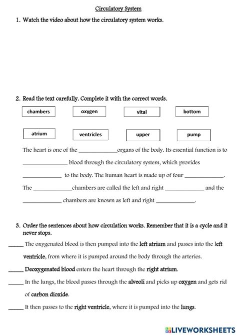 Worksheets Human Body Systems Body Organs Circulatory System Human