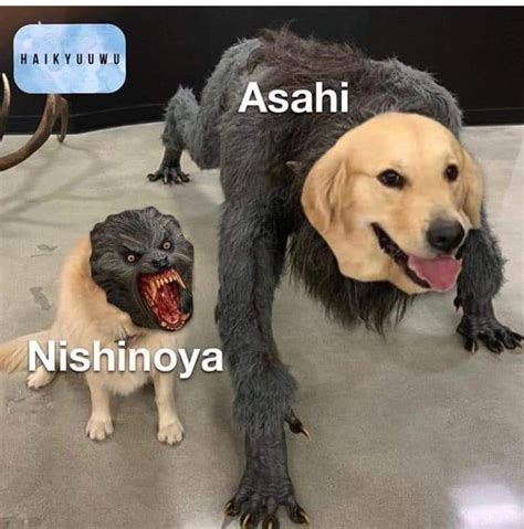Pin By IIlIi On F Haikyuu Meme Haikyuu Anime Haikyuu Funny