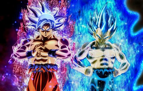Vegeta Full Power And Goku Ultra Instinct Dragon Ball Super Anime Hot