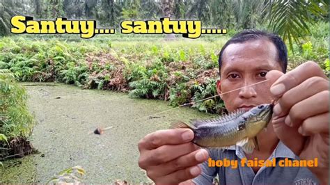 Mancing Santuy Sambil Nunggu Buka Puasa Youtube