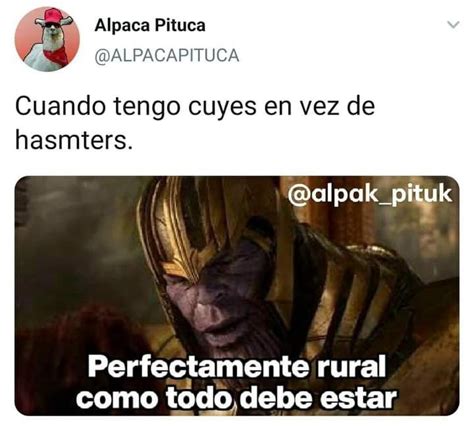 Pin De Maritza Alvarez En Facebook Memes Divertidos Memes Chistes