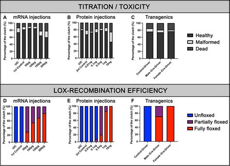 Frontiers Optimising The Zebrafish Cre Lox Toolbox Codon Improved