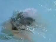 Naked Susan Lucci In Seduced And Betrayed