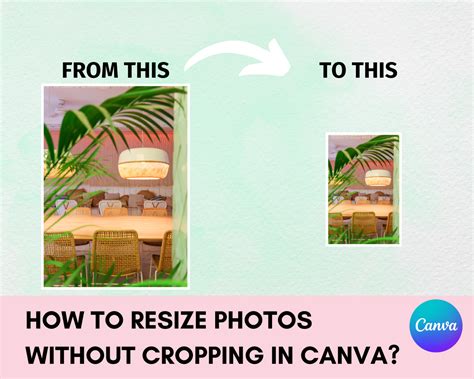 How To Resize Photo Without Cropping In Canva GraphiCarola