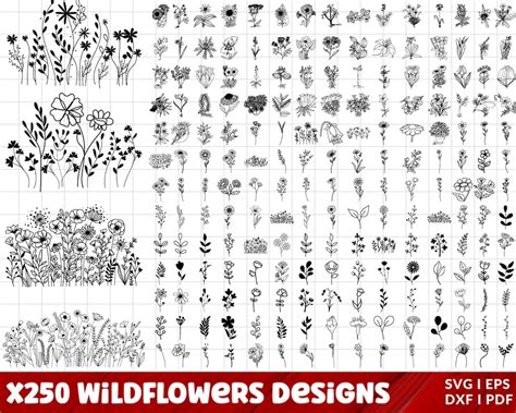 Wildblumen SVG Bundle Wildblumen Vektor Wildblumen Silhouette