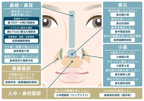 鼻の整形メニュー 鼻の整形ならジョウクリニック