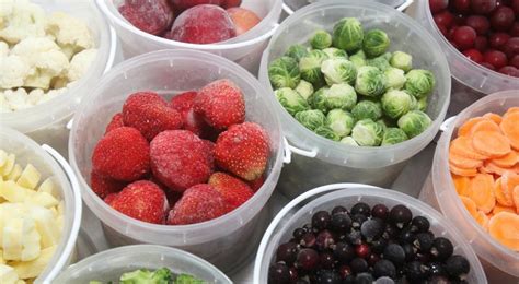C Mo Congelar Correctamente Las Frutas El Siglo De Torre N