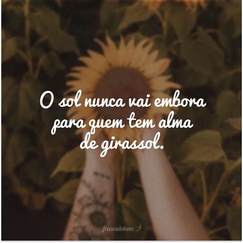 Frases De Girassol Que V O Te Encorajar A Buscar Mais Luz