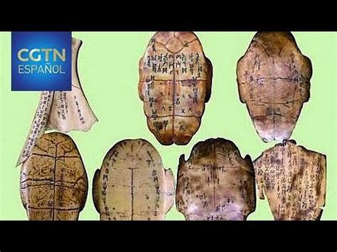 Las Inscripciones En Huesos Oraculares De China Se Incorporan A La