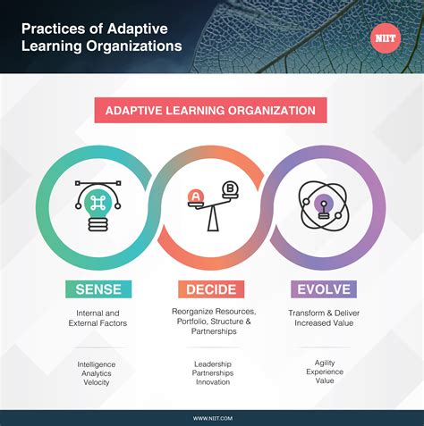 adaptive learning organizations niit research
