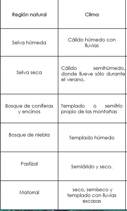 TOMi Digital Regiones Naturales