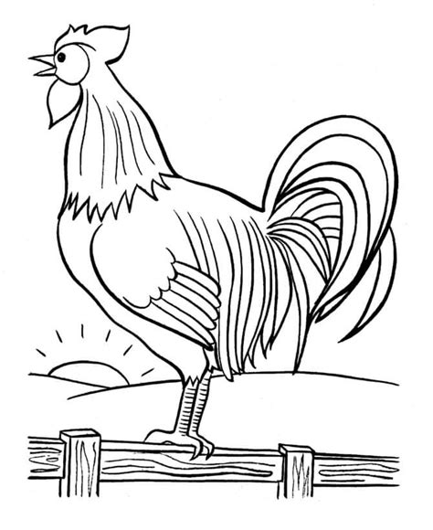 Dibujos De Gallo Para Colorear E Imprimir ColoringOnly