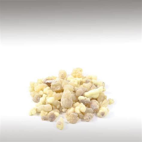Omani Frankincense Essential Oil Boswellia Sacra Essential Oils