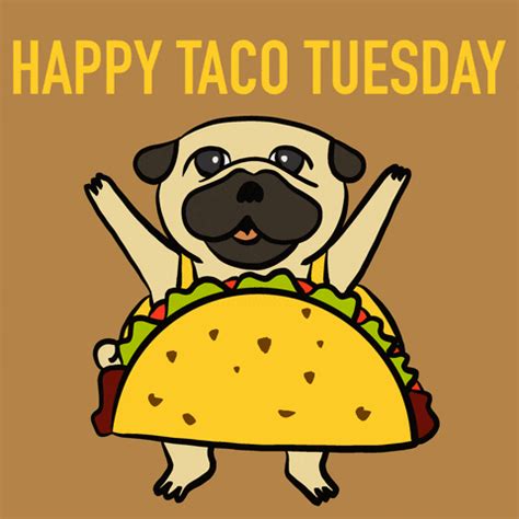 Taco Tuesday Taco Tuesday Know Your Meme