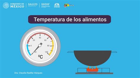 Todo Lo Que Necesitas Saber Sobre Las Temperaturas De Cocci N Interna