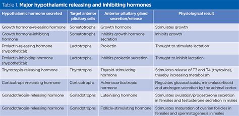 Pituitary Gland And Hypothalamus Hormones