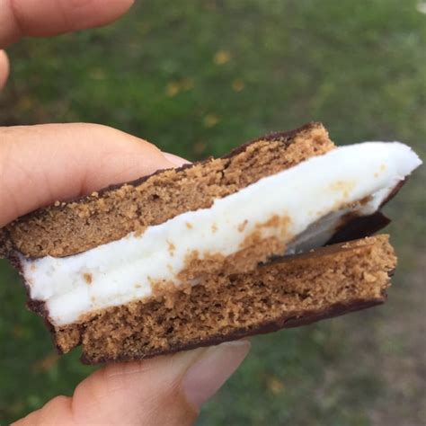 Un Rincón Vegano Alfajor de Limón Review abillion