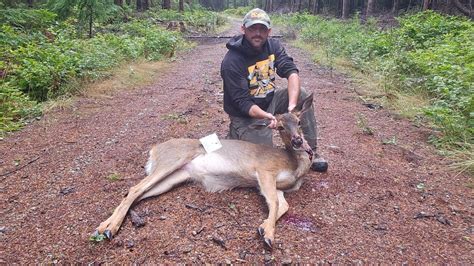 Deer Gutless Method Quartering In The Field Elder Tag Filled YouTube