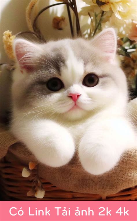Tổng Hợp 100 Ảnh Mèo AI Cute Dễ Thương Ngộ nghĩnh