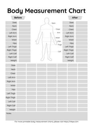 Free Printable Body Measurement Charts In PDF PNG And Formats InkPx